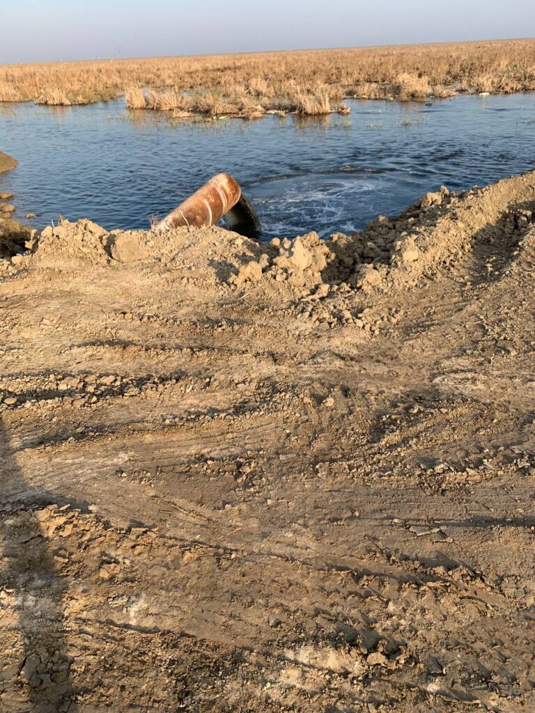 First Phase of Eden in Iraq Wastewater Garden Project Construction ...